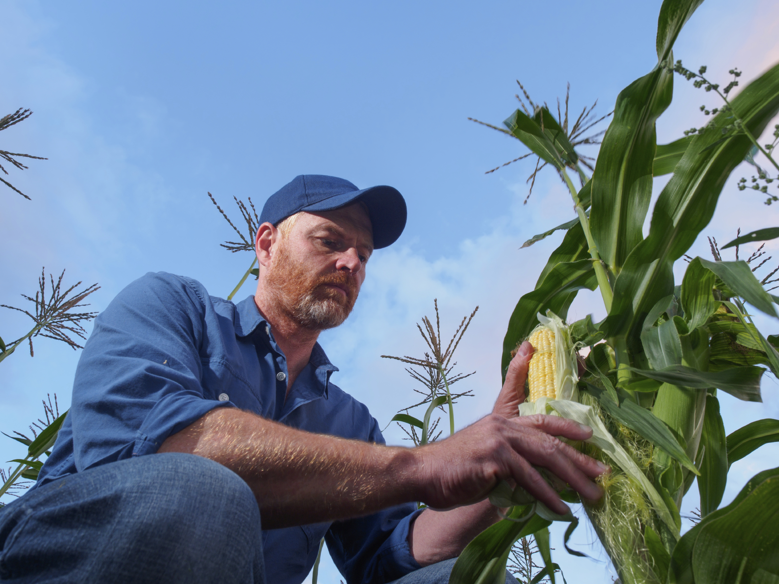 Zimbabwe To Start Paying White Farmers Compensation After April