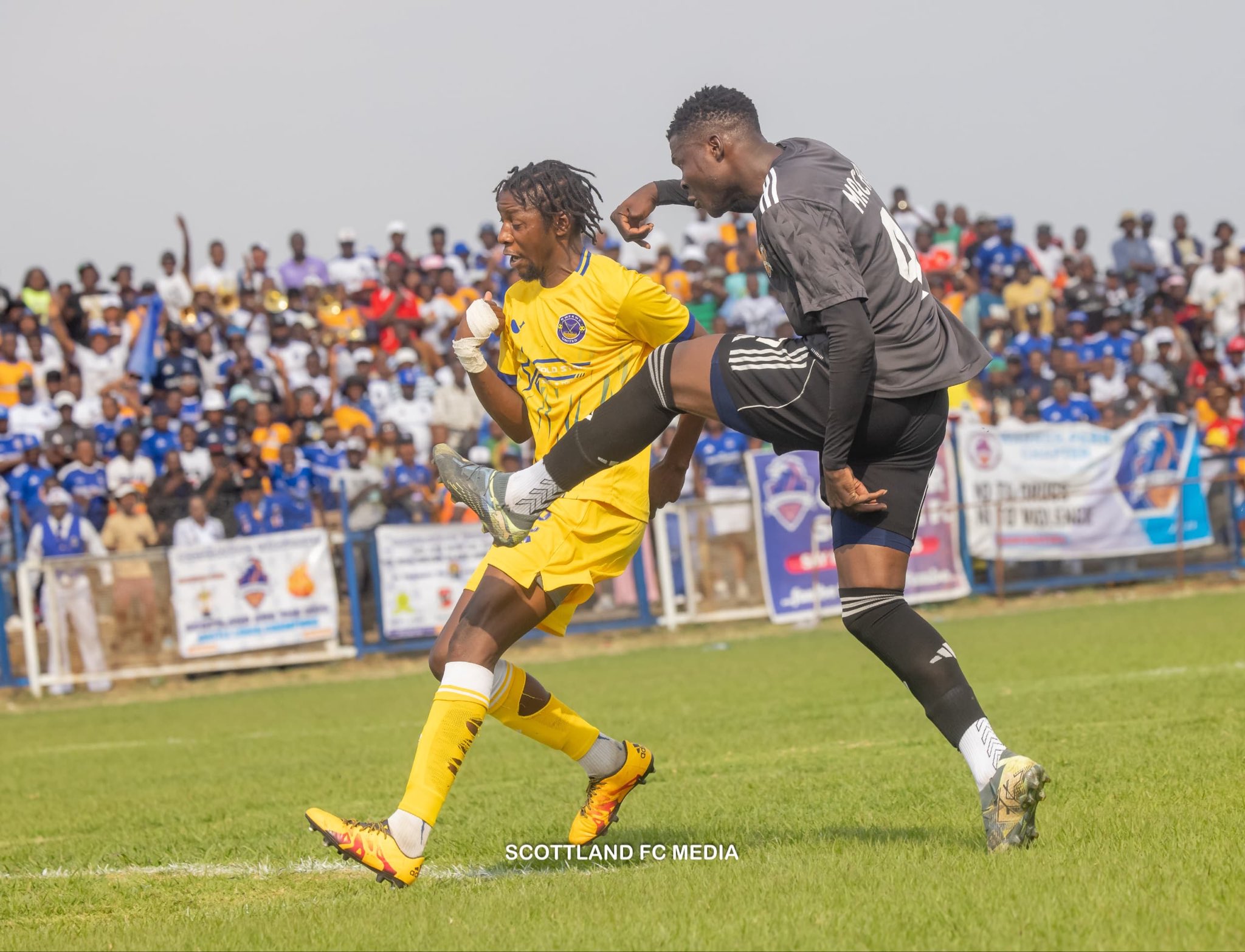 Five-star Scottland make history with first PSL title in debut season ...
